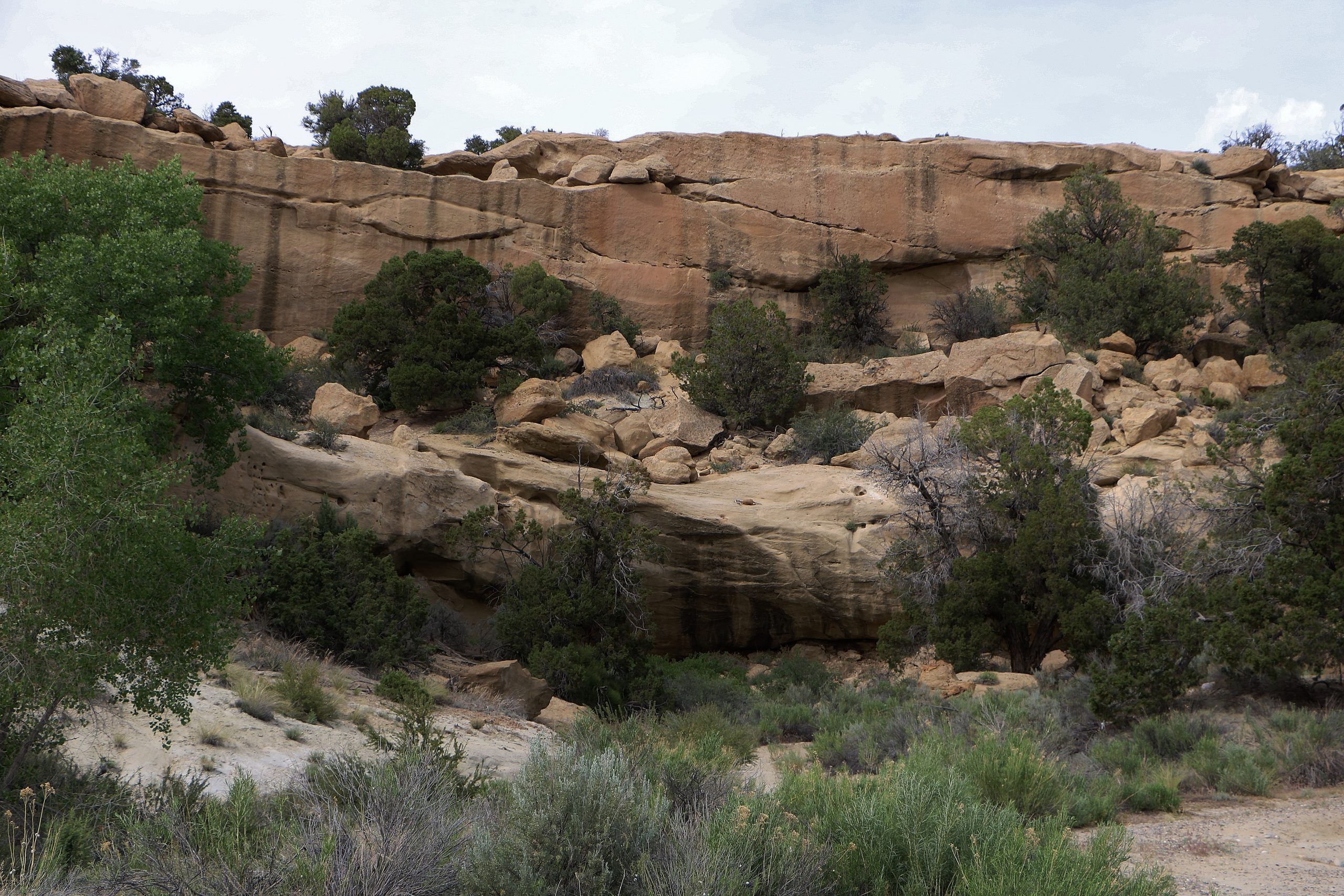 WEIRD PLACES: UFO Crash at Aztec, New Mexico - David's Basement of the ...