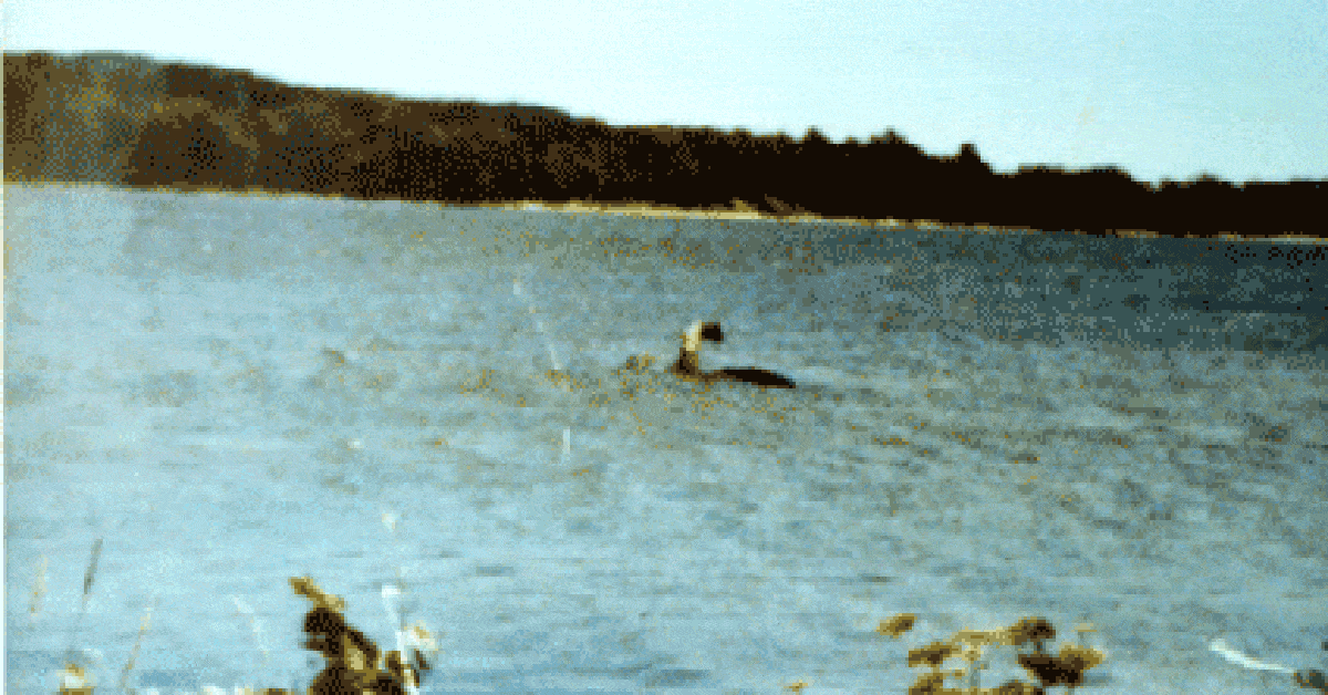 Champ Unchained: The Legend of Lake Champlain’s Mysterious Monster - David's Basement of the Bizarre
